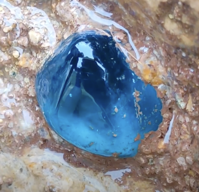 SeePhas – The rocks of life